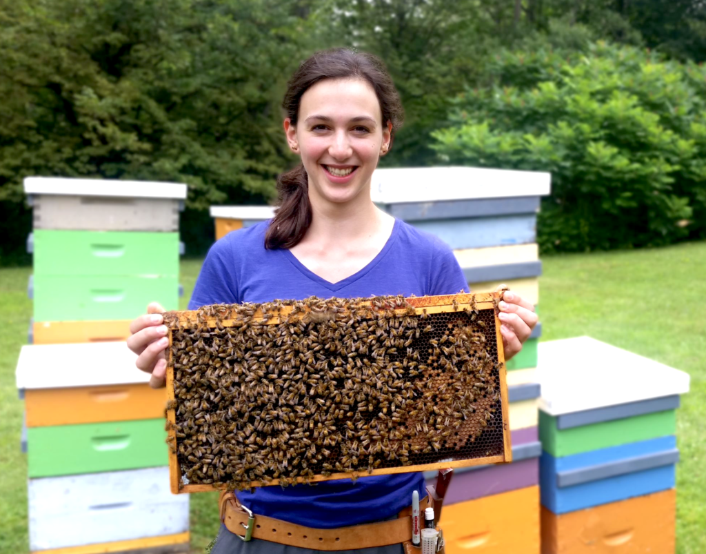 About the Honey Bee Research Centre – Honey Bee Research Centre