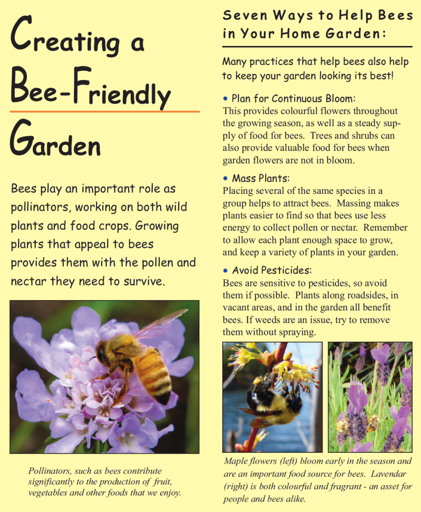 Plants For Bees - Honey Bee Research Centre