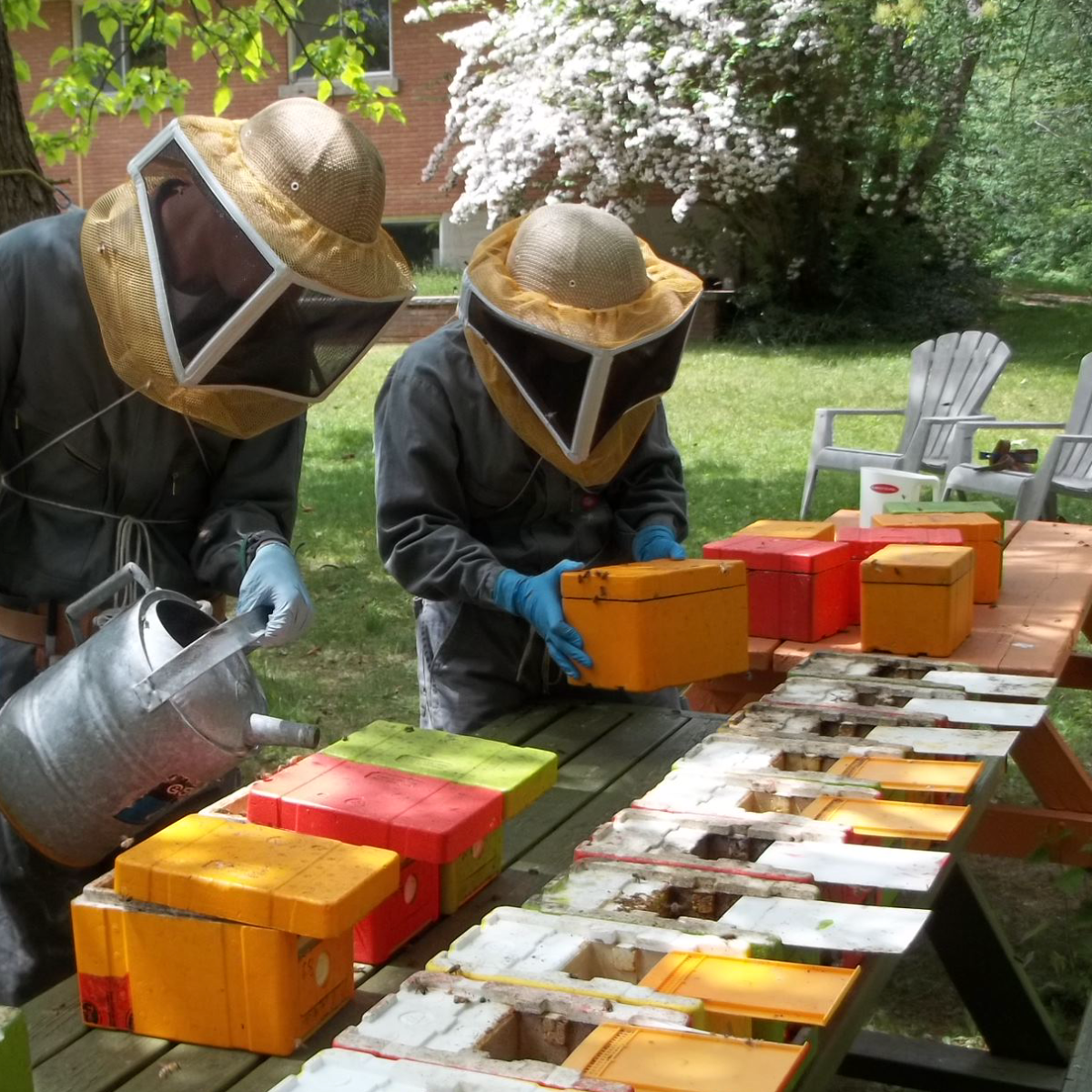 Research - Honey Bee Research Centre
