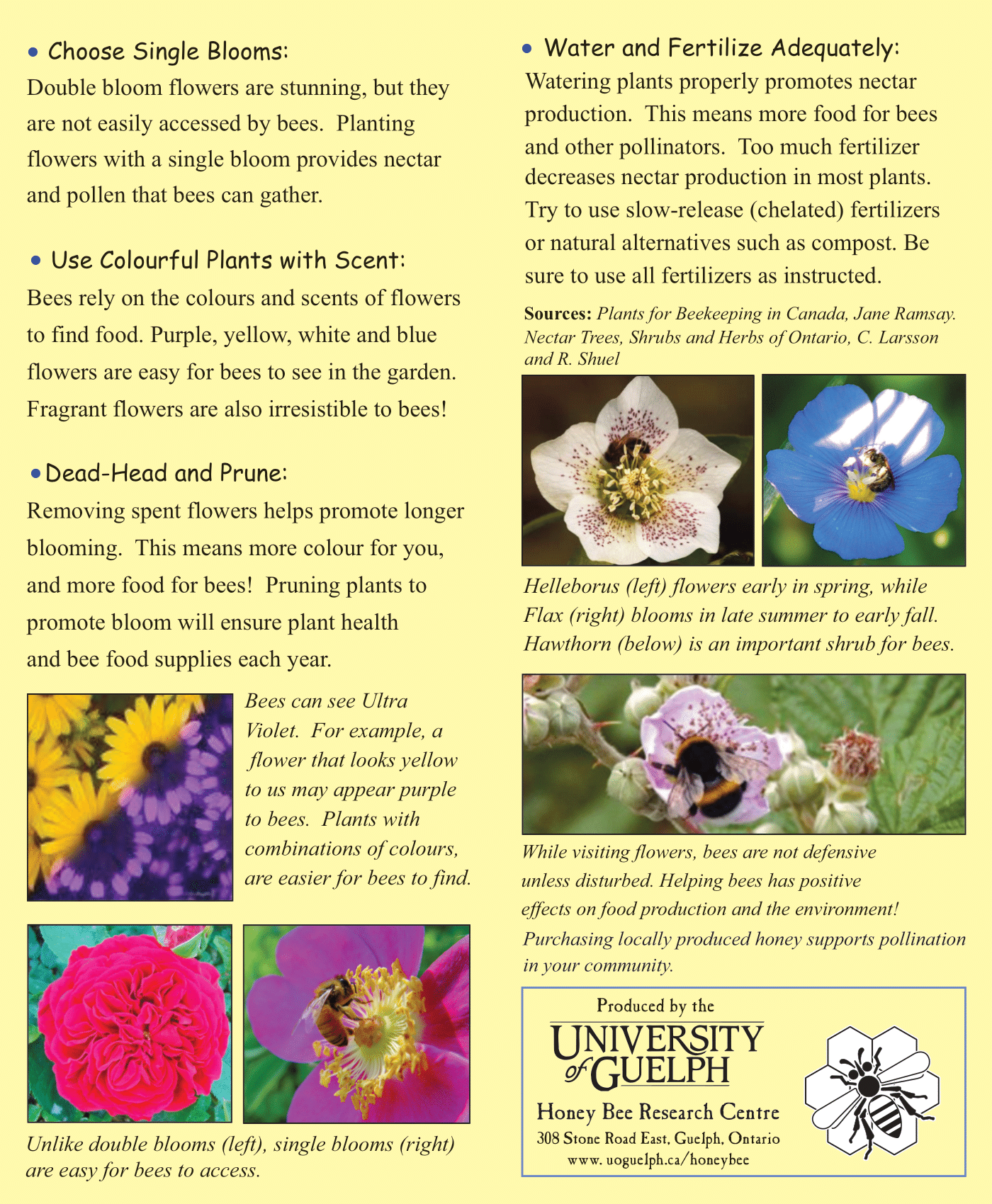 Bee Friendly Garden Resources – Honey Bee Research Centre