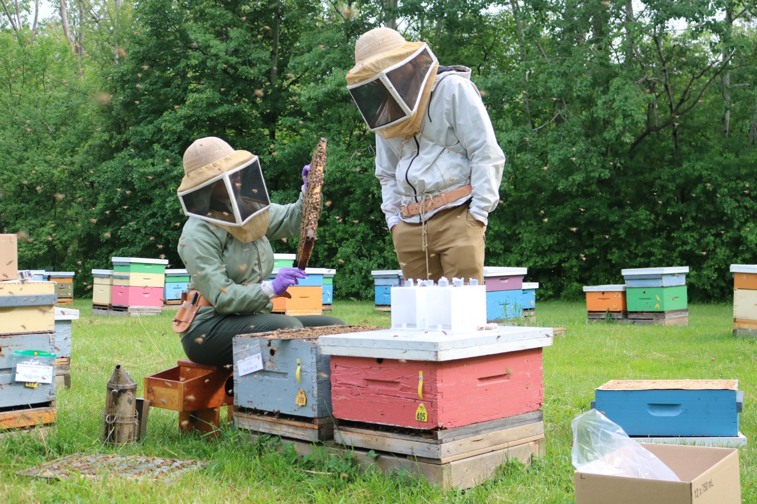Research Update Winter 2023 – Honey Bee Research Centre
