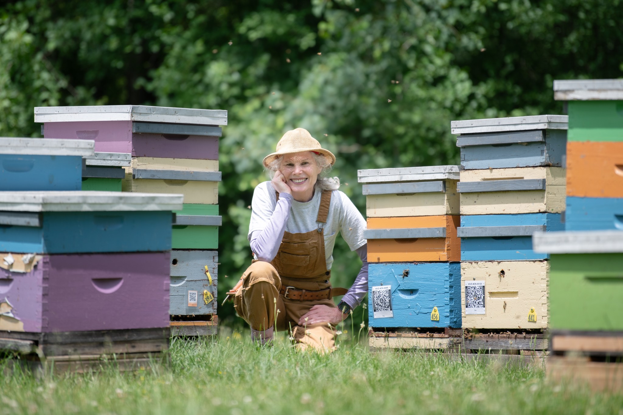 Honey Bee Research Centre