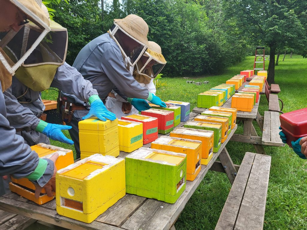 Our Research – Honey Bee Research Centre
