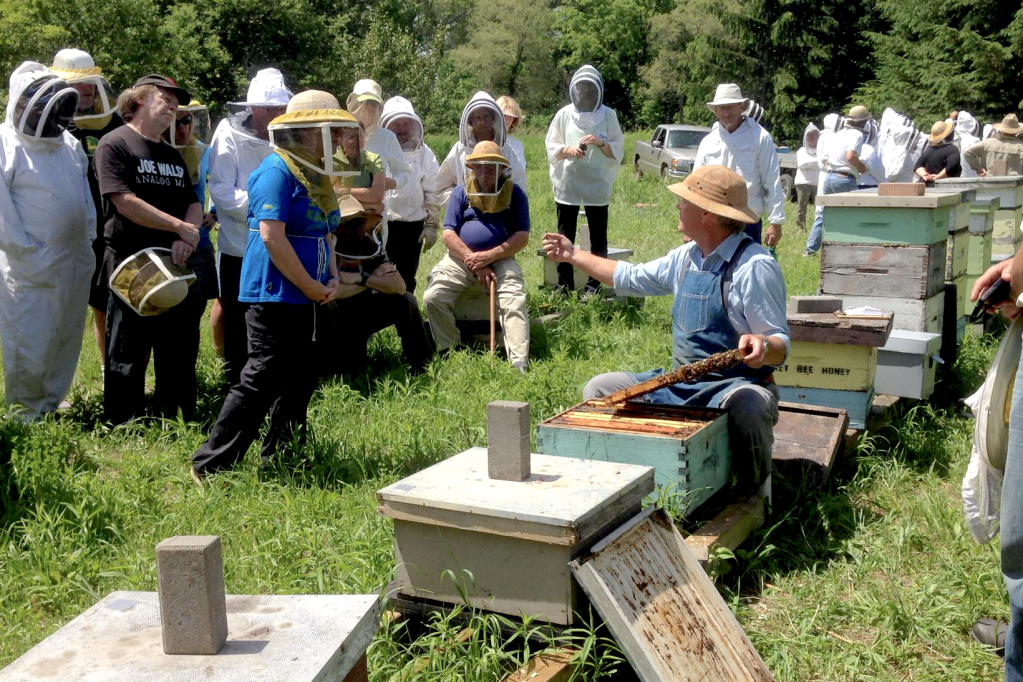 courses – Honey Bee Research Centre