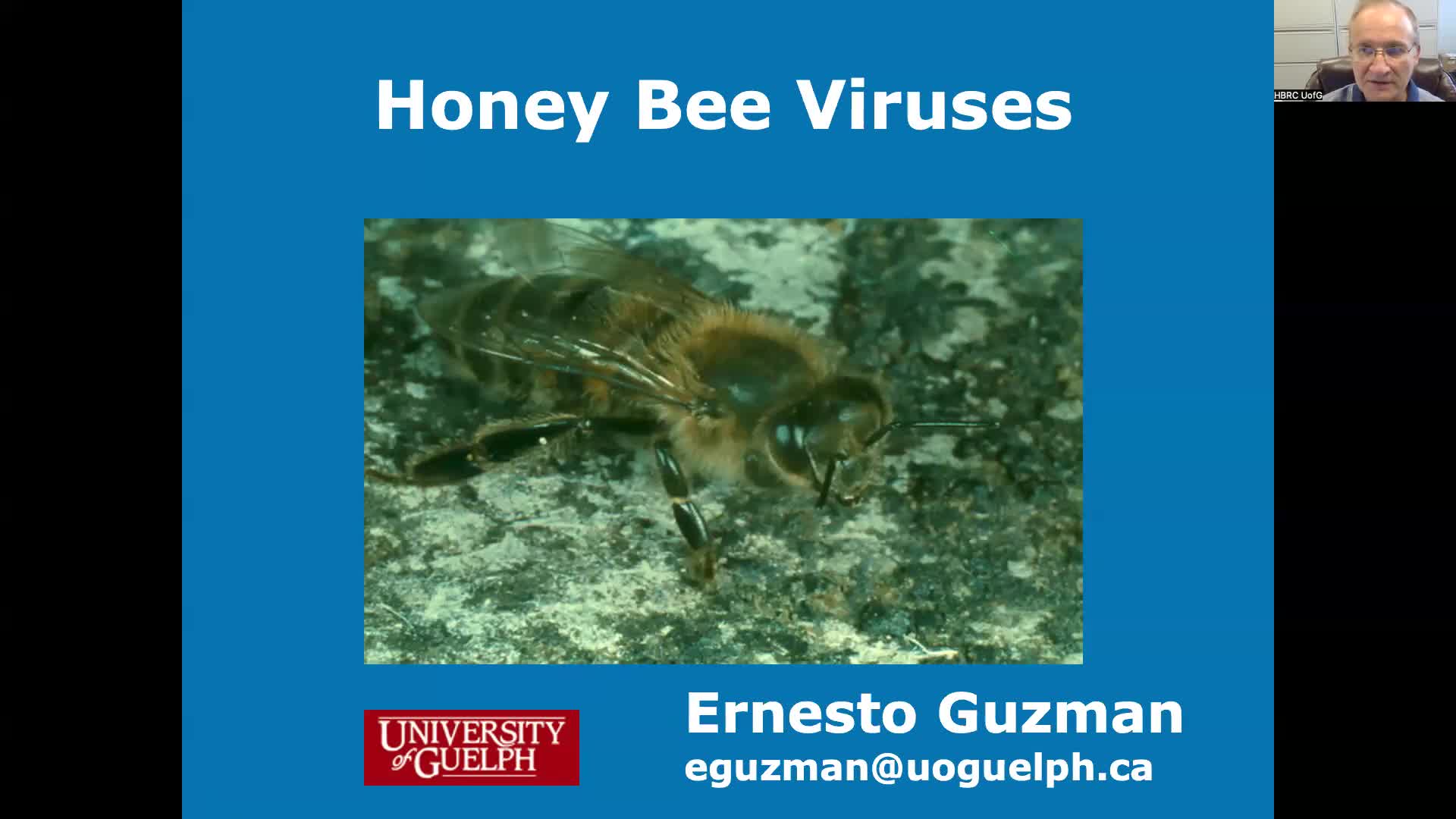 Honey Bee Viruses – Honey Bee Research Centre