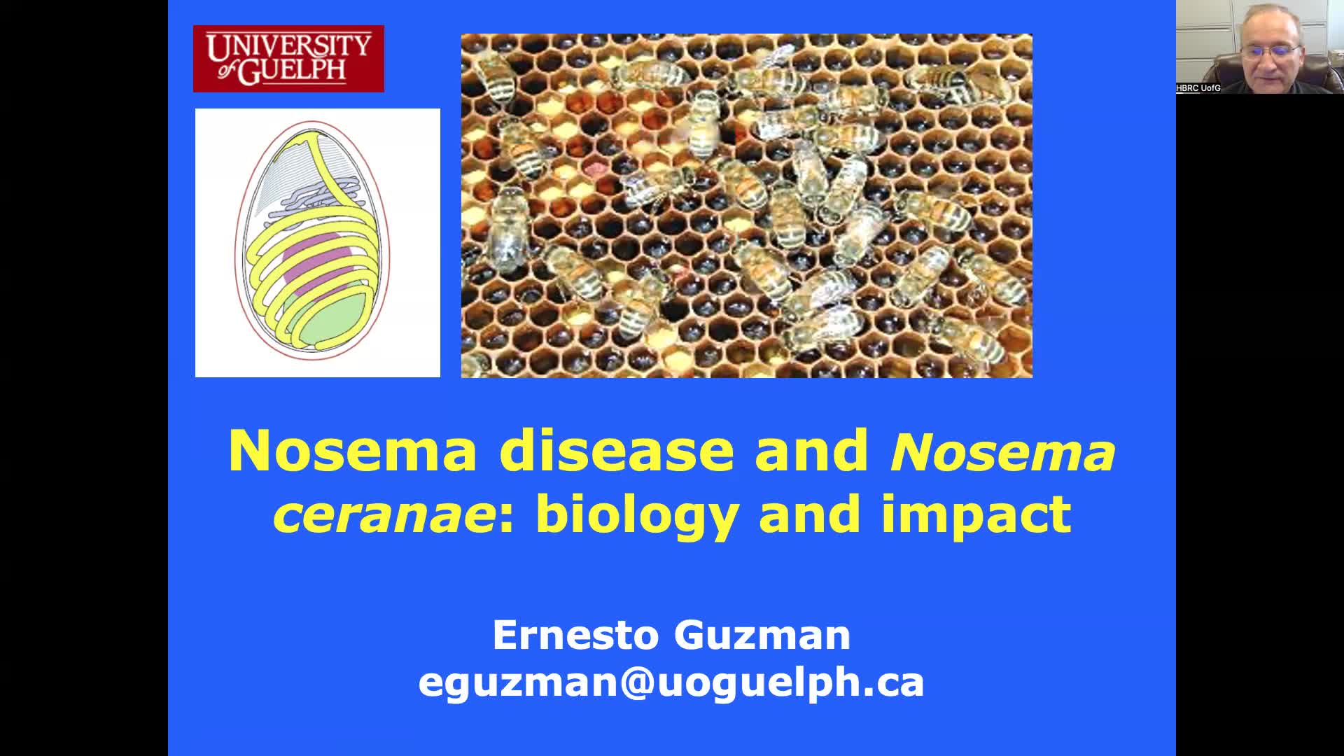 Nosema Disease: Biology and Impact – Honey Bee Research Centre